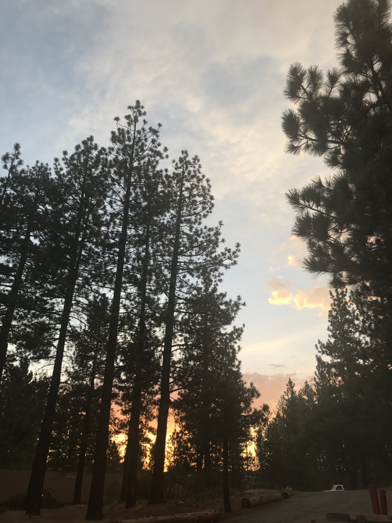 YMCA Camp Whittle ฉบับเด็กเวิร์ค - Minimore