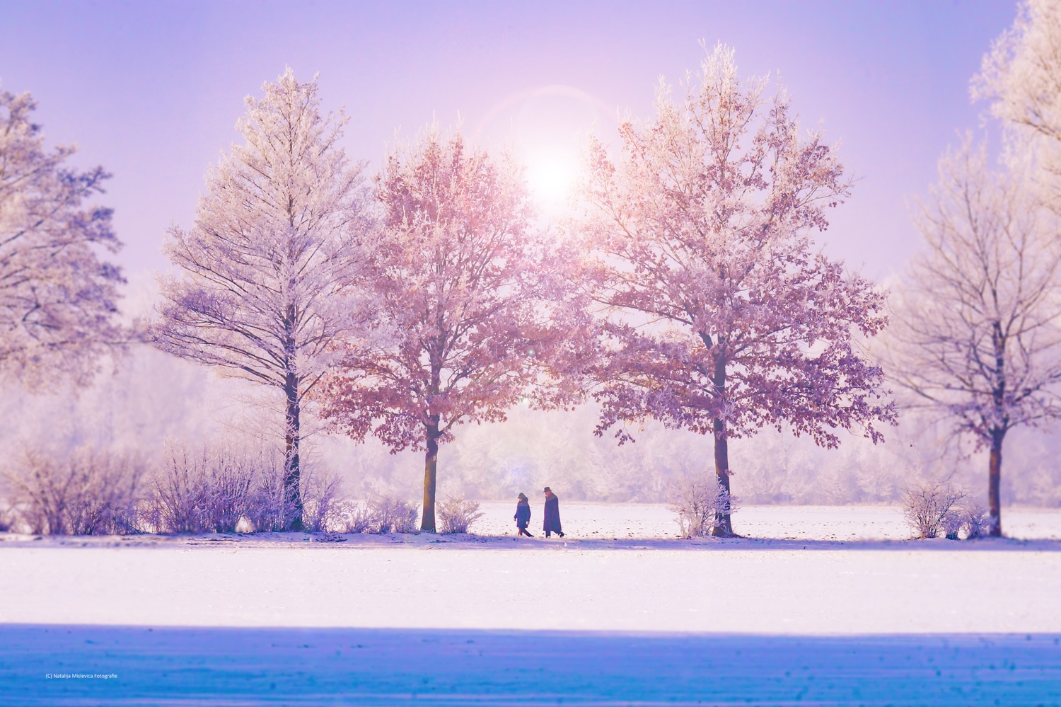 Winter - Minimore