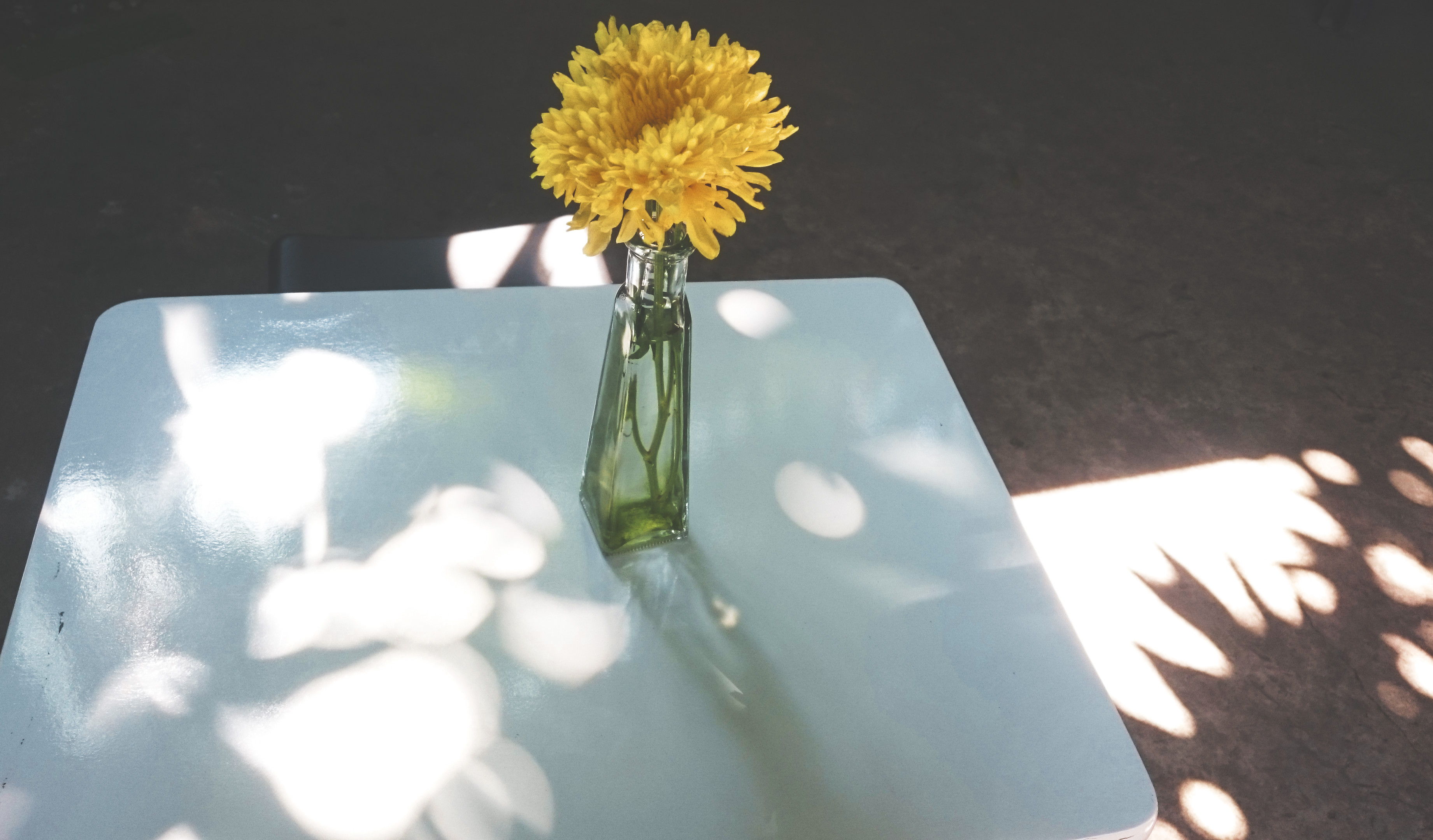 PD101 JAPAN - Minimore