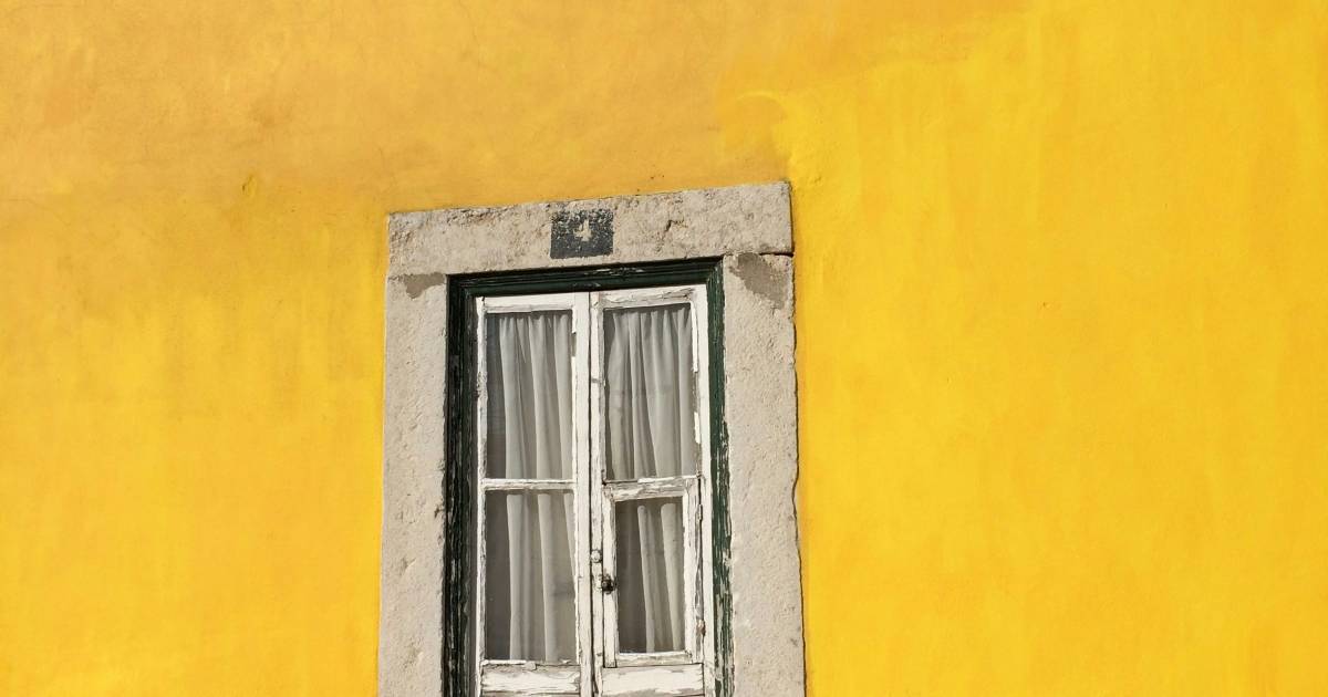 Yume - Both Between Same Path - Minimore