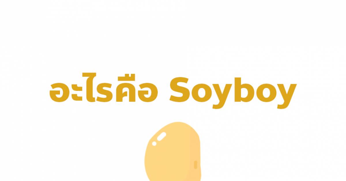 อะไรคือ Soyboy? - บทความ - Minimore
