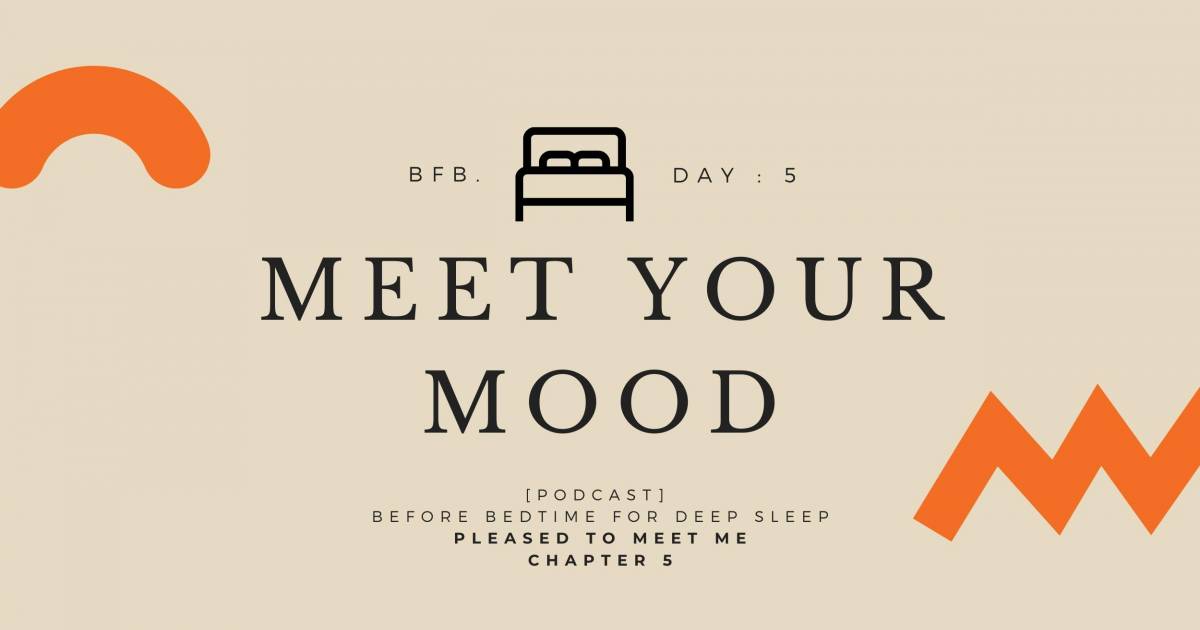 meet your mood ʕ ˵• ₒ •˵ ʔ - Reading - Minimore