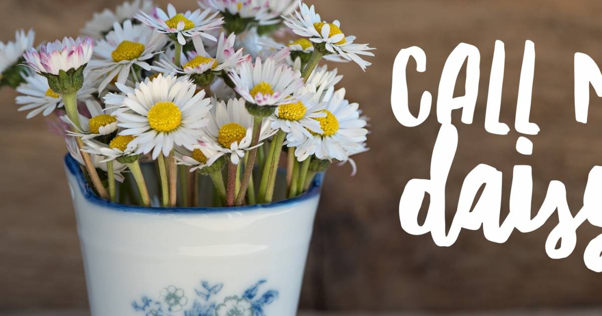 Call Me Daisy | เราเดซี่ไง - Daisy's Rants. - Minimore