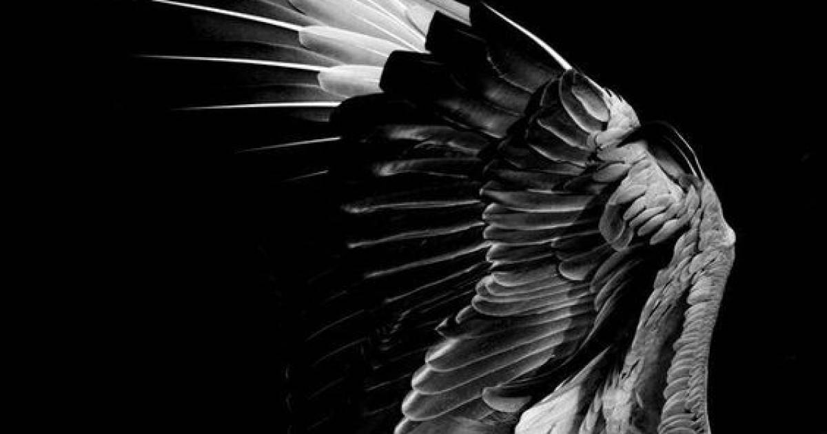 Another side | EP.2 - Another Side | อีกด้านหนึ่ง - Minimore