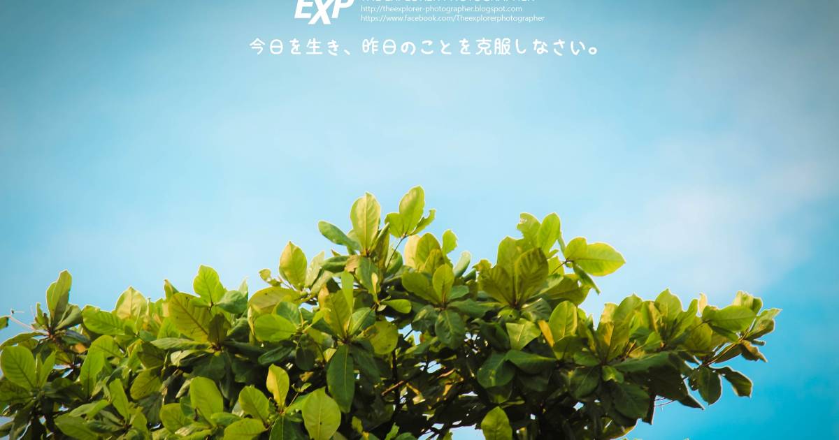 LIVE TODAY, GET OVER YESTERDAY - THE EXPLORER STORY - Minimore