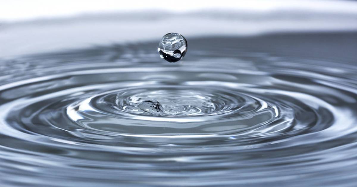 This Is Water - David Foster Wallace - Translation - Minimore