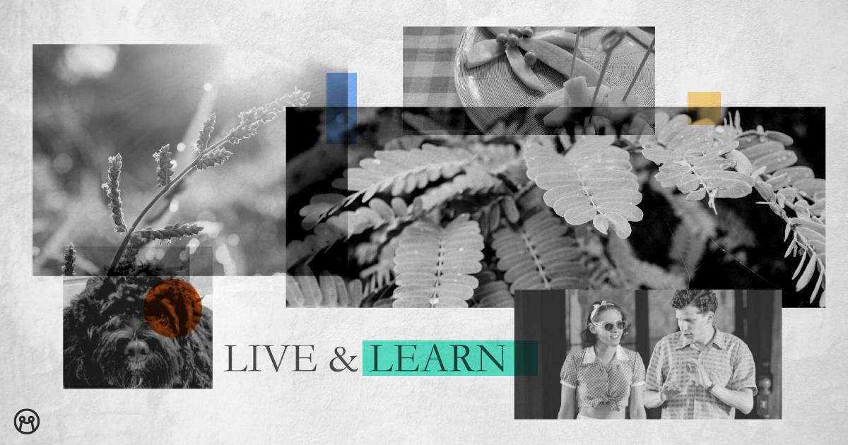 ชีวิต...ก็เป็นงี้ มีอะไรให้เรียนรู้อีกเยอะ - Weekly Makers - Minimore